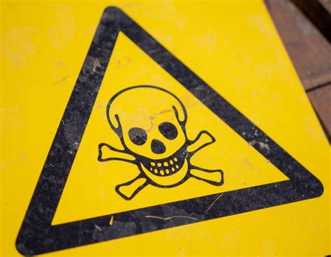 Research Cybersecurity Software Cathartic Computing Club