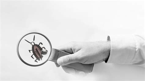 Master Document Migrations In Months Instead Of Years Papyrus Blog