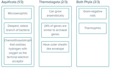 Chapters 20 21 22 Connect Flashcards Quizlet