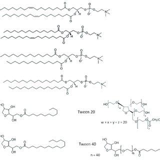 Chemical Structure Of Various Lipids Used In This Study Download Scientific Diagram