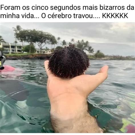 Foram os cinco segundos mais bizarros da minha vida O cérebro travou KKKKKK Memes