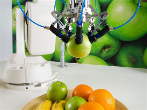 Why A Fruit Sorting Robot Will Disrupt Industrial Automation Zdnet