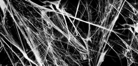 Spiderwebs Isolated On Black Grunge Background Cobweb In The Corner