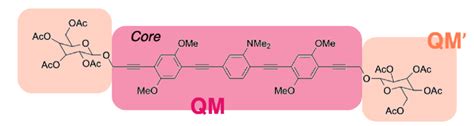 High Level Core And Low Level Sugars In Oniom Model Download Scientific Diagram