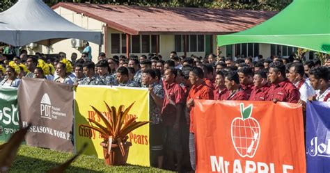 Samoa Observer Call Your Wives Seasonal Workers Told