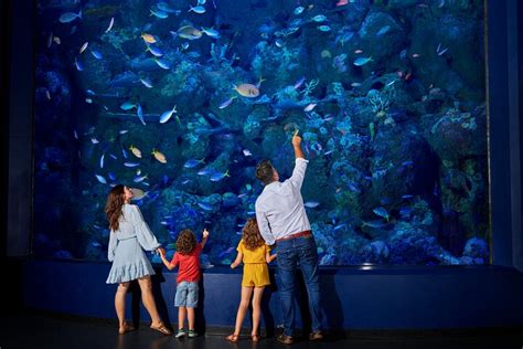 Night At The Aquarium Tour Undefined Undefined Trip Canvas