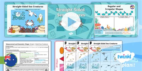 Year Shape D Shapes Lesson Teacher Made