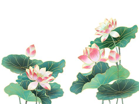 国潮荷花素材 国潮荷花元素图片下载 觅知网