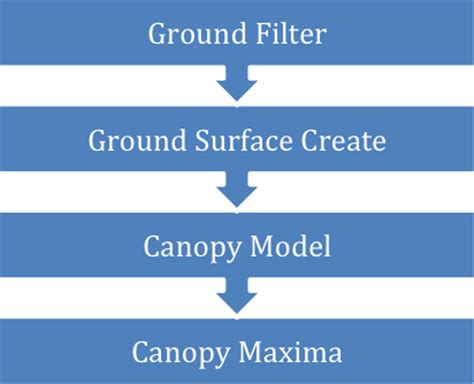 Above 2 1 M Fusion Workflow Download Scientific Diagram