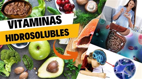 Vitaminas Hidrosolubles B1b2b3 Y B5 Youtube