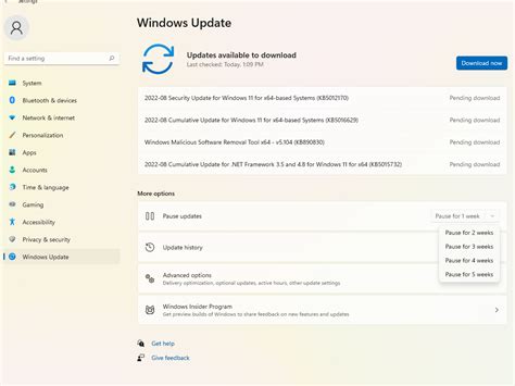 how to disable automatic operating system updates examsoft