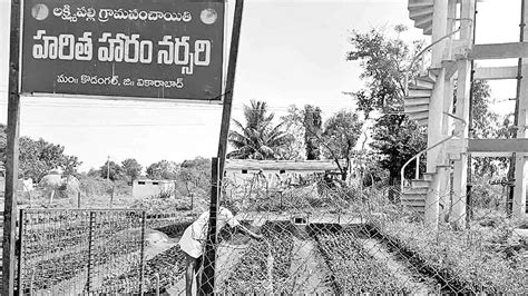 పల్లెకు ప్రగతి Namasthe Telangana