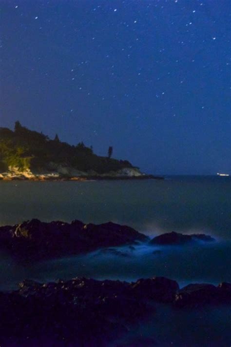 10 Must Visit Spots Around The World To Witness Bioluminescence Artofit