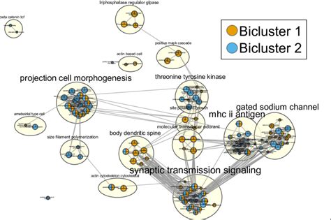 Network Plot Of Gene Sets Enriched Among Bicluster Genes Network Download Scientific Diagram