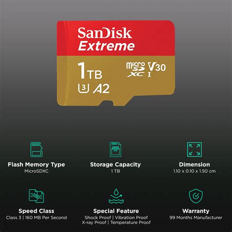 Buy SanDisk Extreme MicroSDXC 1TB Class 3 160MB/s Memory Card Online ...