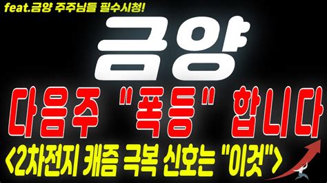 금양 주가전망 🔴2차전지 캐즘 극복 신호는 이것 주주님들 축하드립니다 금양 금양주가전망 금양주식전망 Youtube