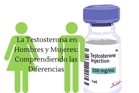 Hogar Sano La Testosterona En Hombres Y Mujeres Comprendiendo Las