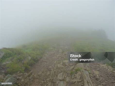 안개 낀 산 안개 속에서 산의 흔적 아름다운 풍경 비오는 구름 우울한 날씨 경치 배경 폴로니나 비슈차디 산맥 계곡에 대한 스톡