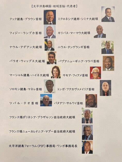 日本太平洋島嶼国友好議員連盟 島嶼国首脳訪日 歓迎昼食会 都内ホテル 太平洋島サミット 開催18日木 金子