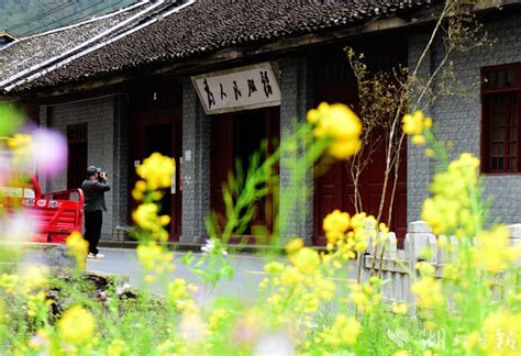 咸丰：传统村落蛇盘溪 满园春色关不住 湖北日报新闻客户端