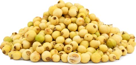 Arrayan Fruit Information And Facts