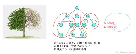 【数据结构与算法】树、二叉树的概念及结构详解判断一棵树是什么类型的二叉树的算法数据结构 Csdn博客