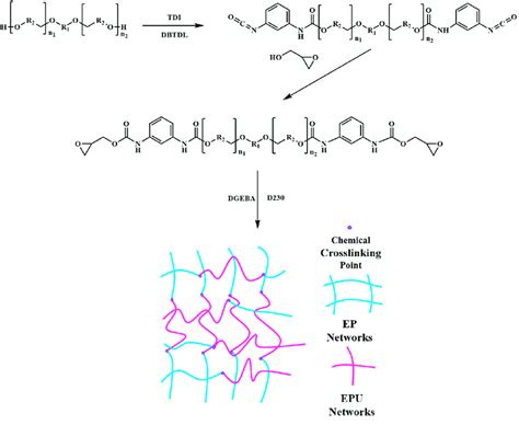 The Synthesis Route Of Epoxy−terminated Polyurethane And Schematic