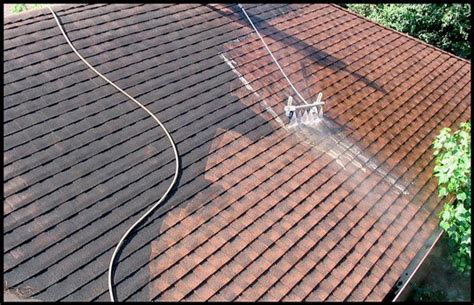 Why Your Roof Should Be Soft Washed Reflection Of Perfection