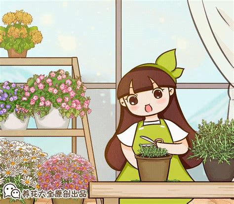 养长寿花，抓住最后的打顶时机，再晚今年不开花东方养生频道东方养生