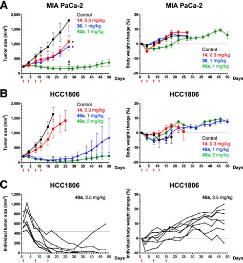In Vivo Antitumor Efficacies The Treatment Regimen Was Presented As