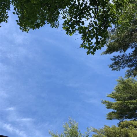 Cirrostratus Cloud Appreciation Society