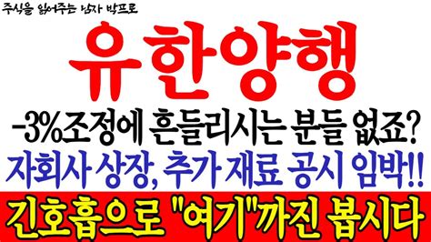 유한양행 주가전망 3조정에 흔들리시는 분들 없죠 자회사 상장 추가 재료 공시 임박 긴 호흡으로 여기까진 봅시다 Youtube