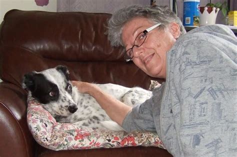 Runaway Rescue Dog Reunited With Distraught Owner Mylondon