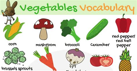 Vegetables Names In English With Pictures