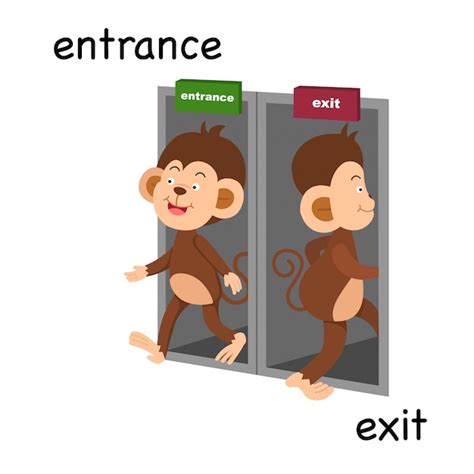 Opposite Entrance And Exit Illustration Premium Vector