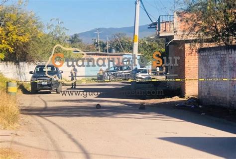 Asesinan A Dos En Panales Galera Guanajuato Sur Noticias