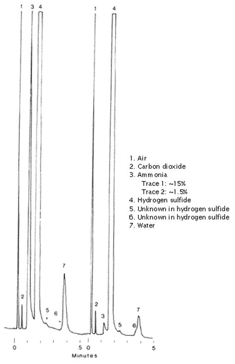 Ammonia In Hydrogen Sulfide Separated With Hayesep C 80 100 Mesh
