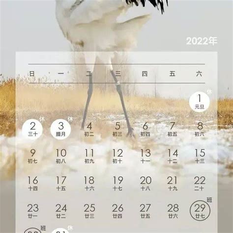 放假通知，3天！ 工作 莒南 生活