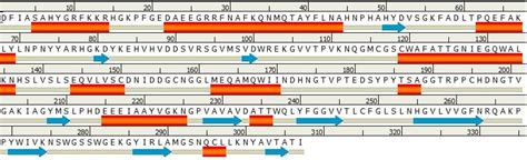 Secondary Structure Of The Modeled Cysteine Protease By Dsv35