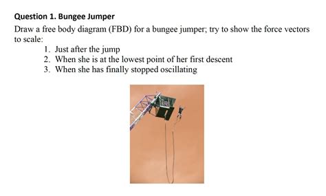 solved question 1 bungee jumper draw a free body diagram fbd for a