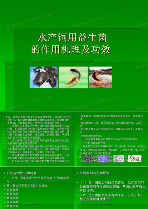 Ppt Lagbkvmx