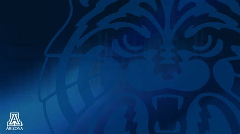 🔥 50 Arizona Wildcat Wallpapers Wallpapersafari