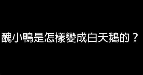 醜小鴨是怎樣變成白天鵝的？ 假笑貓故事