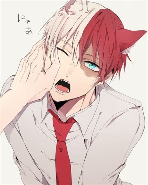 Dominant Shoto Todoroki X Reader Chapter Three Here Kitty