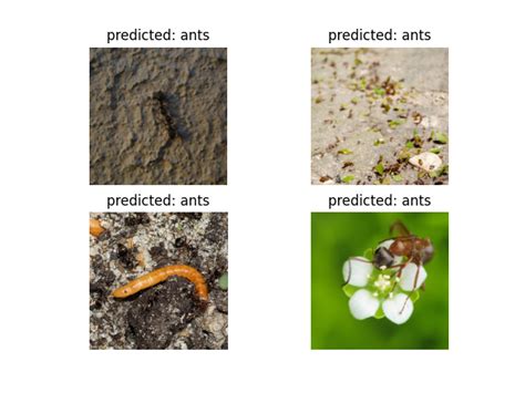 基于pytorch的resnet图像分类的迁移学习resnet模型迁移学习 Csdn博客