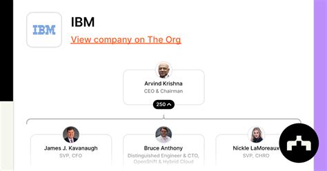 Ibm The Org