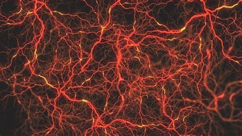 Human Veins Texture