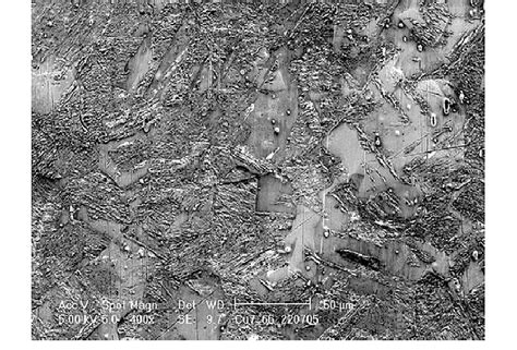 Sem Image Of A Specimen Surface After Loading With Dr 2 61 1 Mpa For