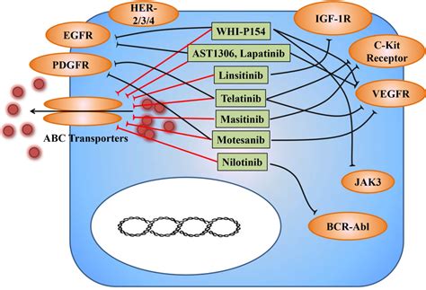 Tyrosine Kinase Inhibitors