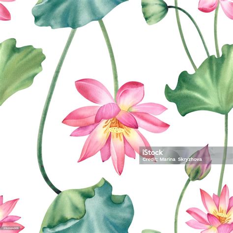 연꽃 완벽 한 패턴입니다 손으로 그린 분홍색 수련의 그림 반복 가능한 빈티지 일본 배경을 위해 손으로 그린 꽃 요소 복고풍